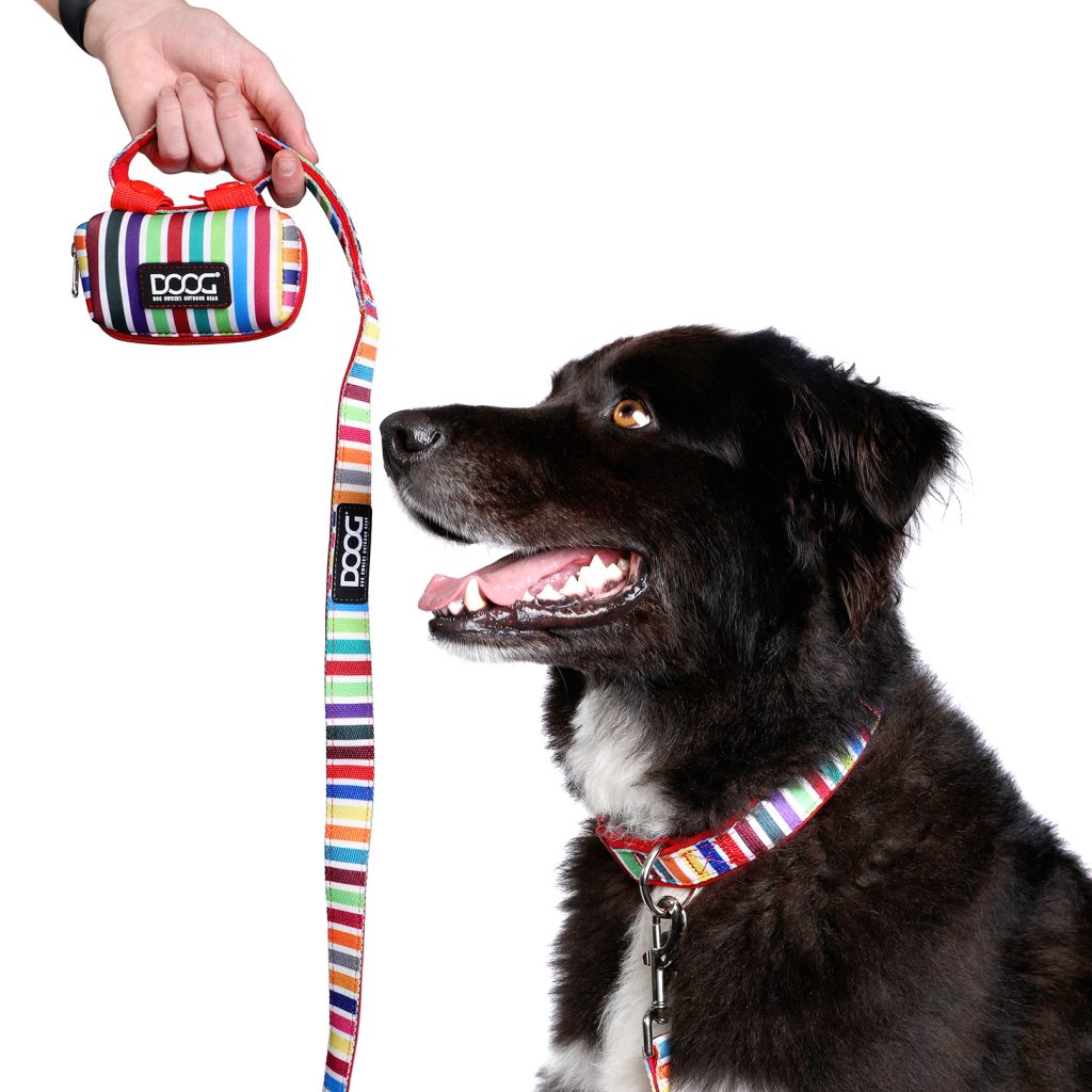 Doog Walkie Pouch - Collared