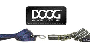 Collared – Dog accessories and gifts